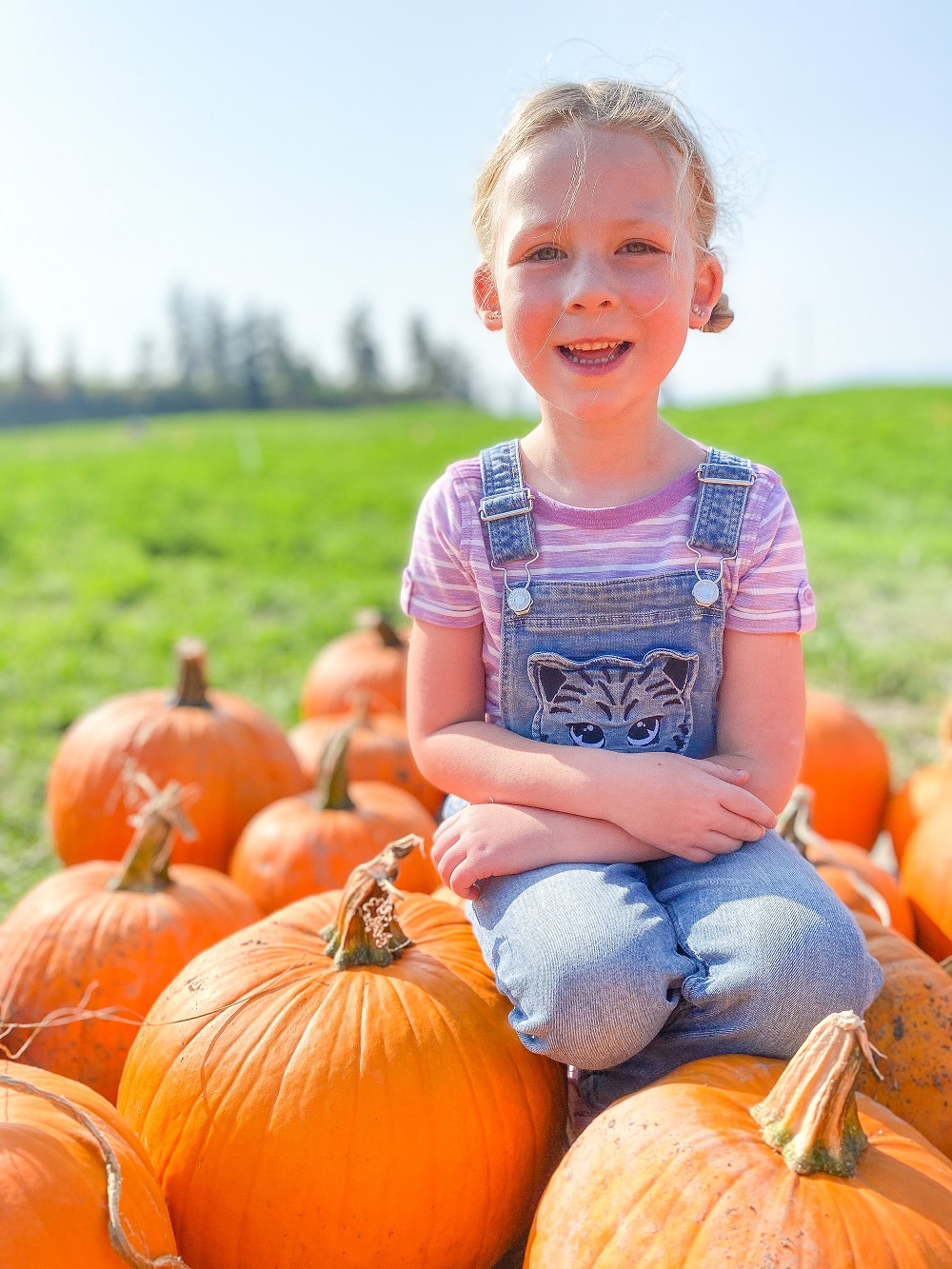 Pumpkin Patch Photoshoot Tips to Capture Beautiful Fall Memories - This ...